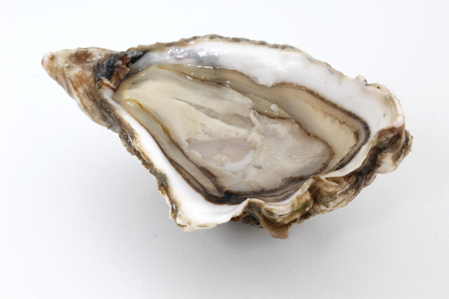 Spéciale d’Utah – 1,49KG – Huitre N°3 (environ 12 huitres ) – La Belle ...